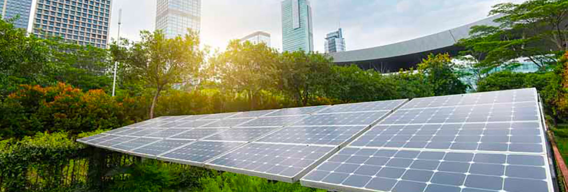 About Pensolar: Pioneering Renewable Energy Solutions